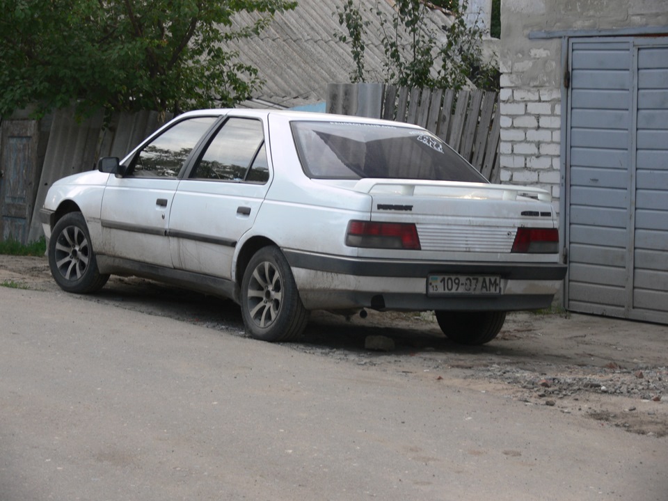 Немного приукрасил львенка — Peugeot 405, 1,9 л, 1988 года | аксессуары | DRIVE2