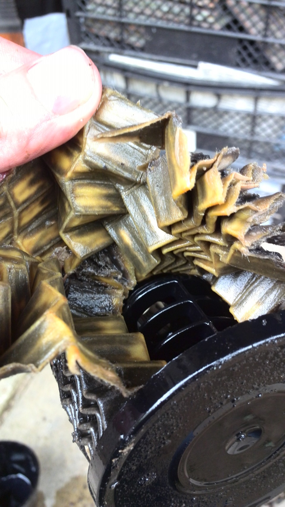 Вскрытие-2 топливного фильтра Mann WK12001 — Citroen C5 (2G), 2,2 л ...