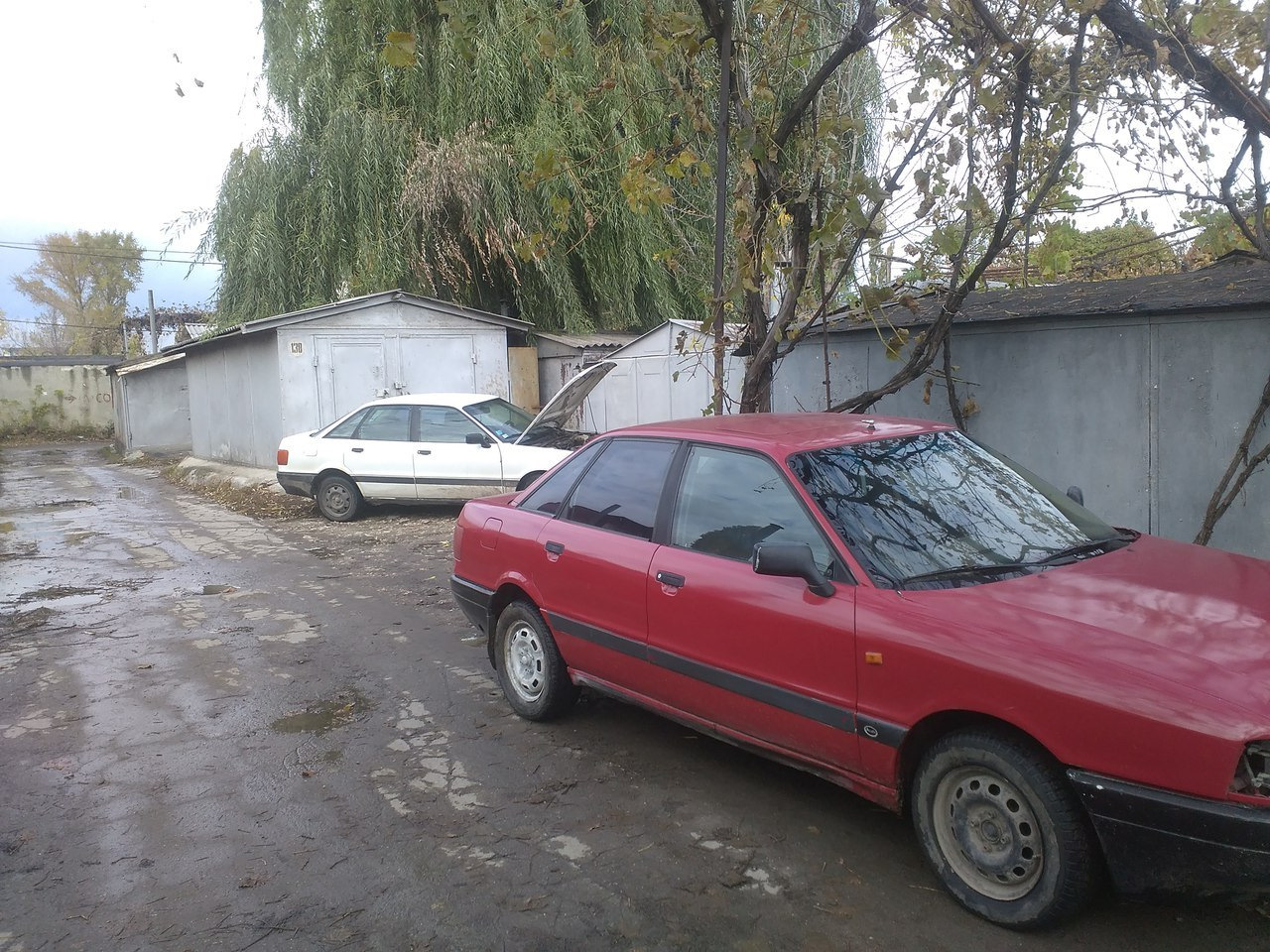 Король продан, да здравствует король) — Audi 80 (B3), 1,8 л, 1991 года ...