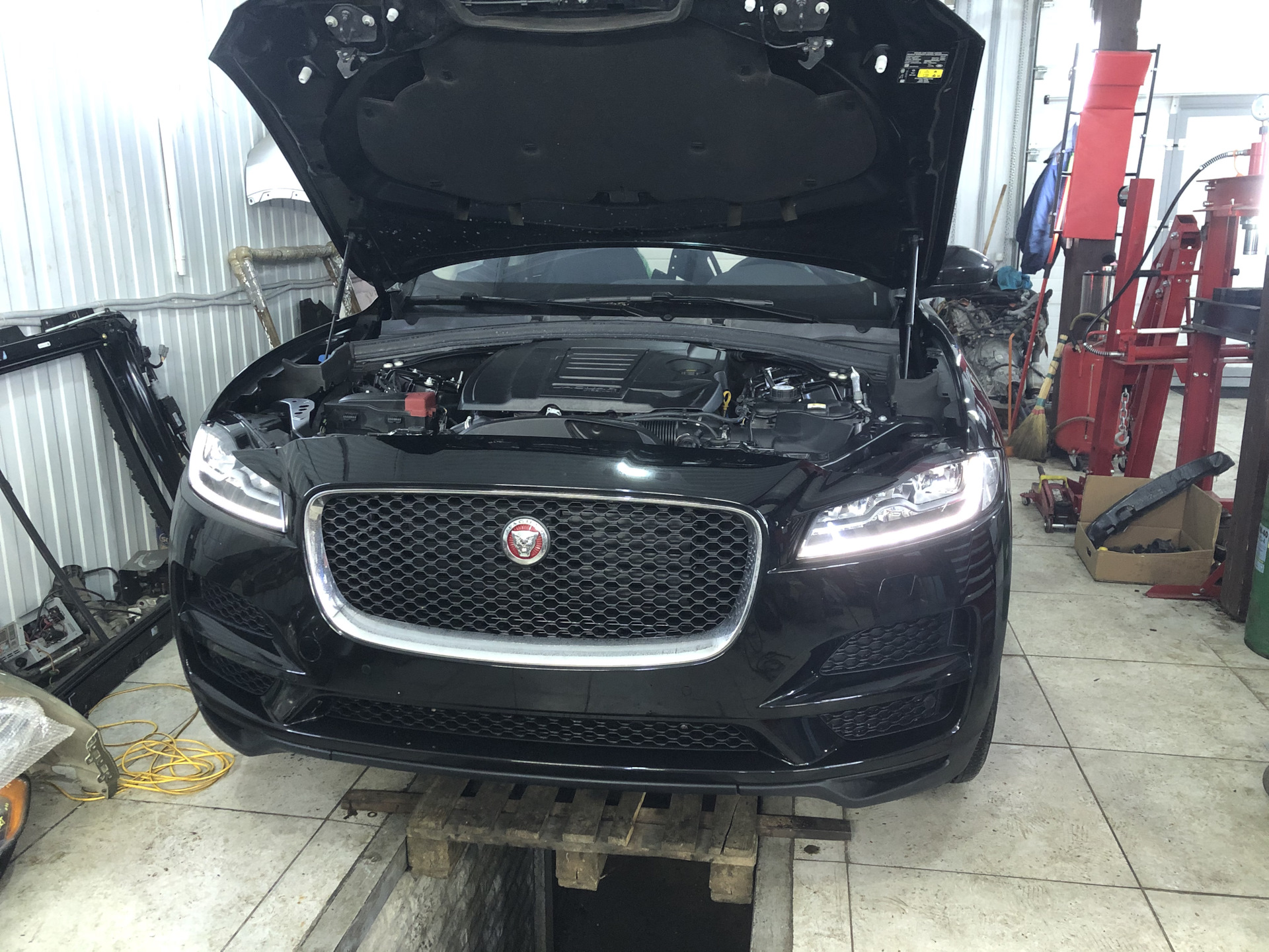 🏥 Лечение кота 🐆 — Jaguar F-Pace, 2 л, 2019 года | визит на сервис | DRIVE2