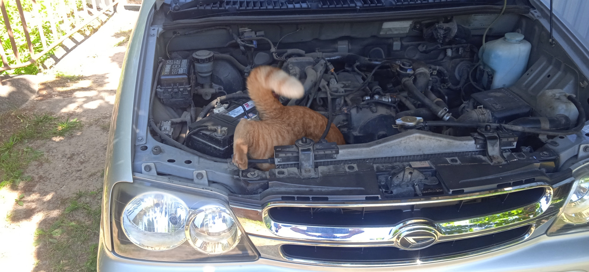 #16#замена масла. — Daihatsu Terios Kid, 0,6 л, 2006 года | плановое ТО ...