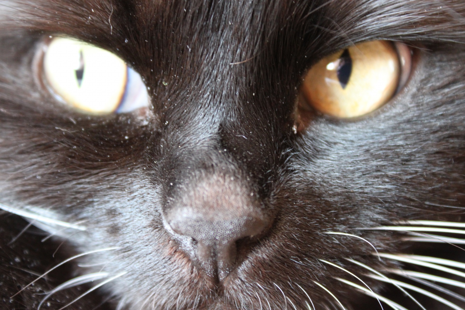 Запись, 16 декабря 2011 — DRIVE2