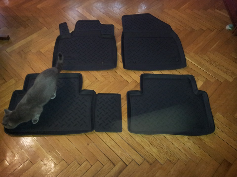 Резиновые коврики — Citroen C5 (2G), 2 л, 2011 года | аксессуары | DRIVE2