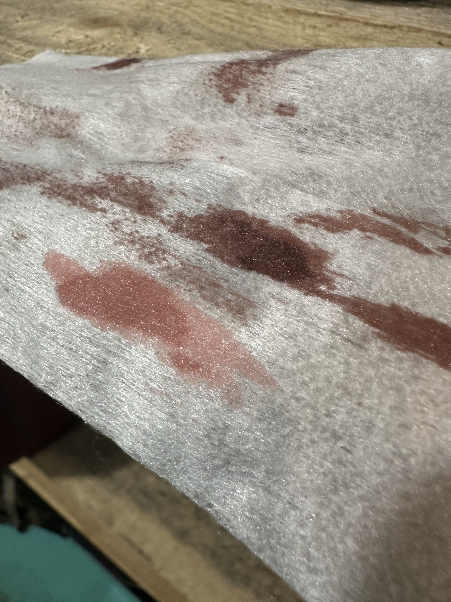 Новая кровь — Toyota Camry (XV50), 2 л, 2014 года | плановое ТО | DRIVE2