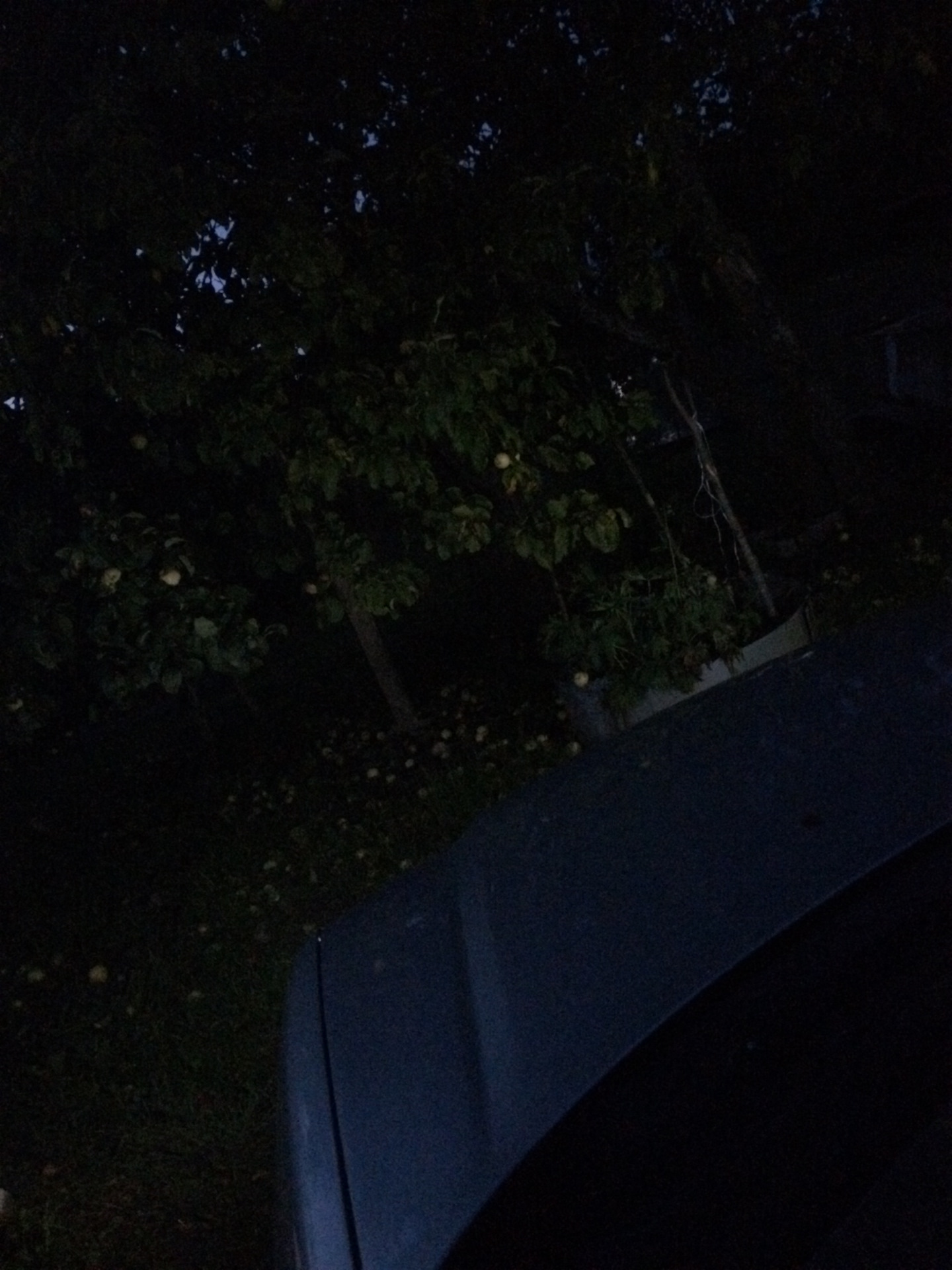 Габариты Philips. — Subaru Forester (SG), 2 л, 2004 года | стайлинг ...