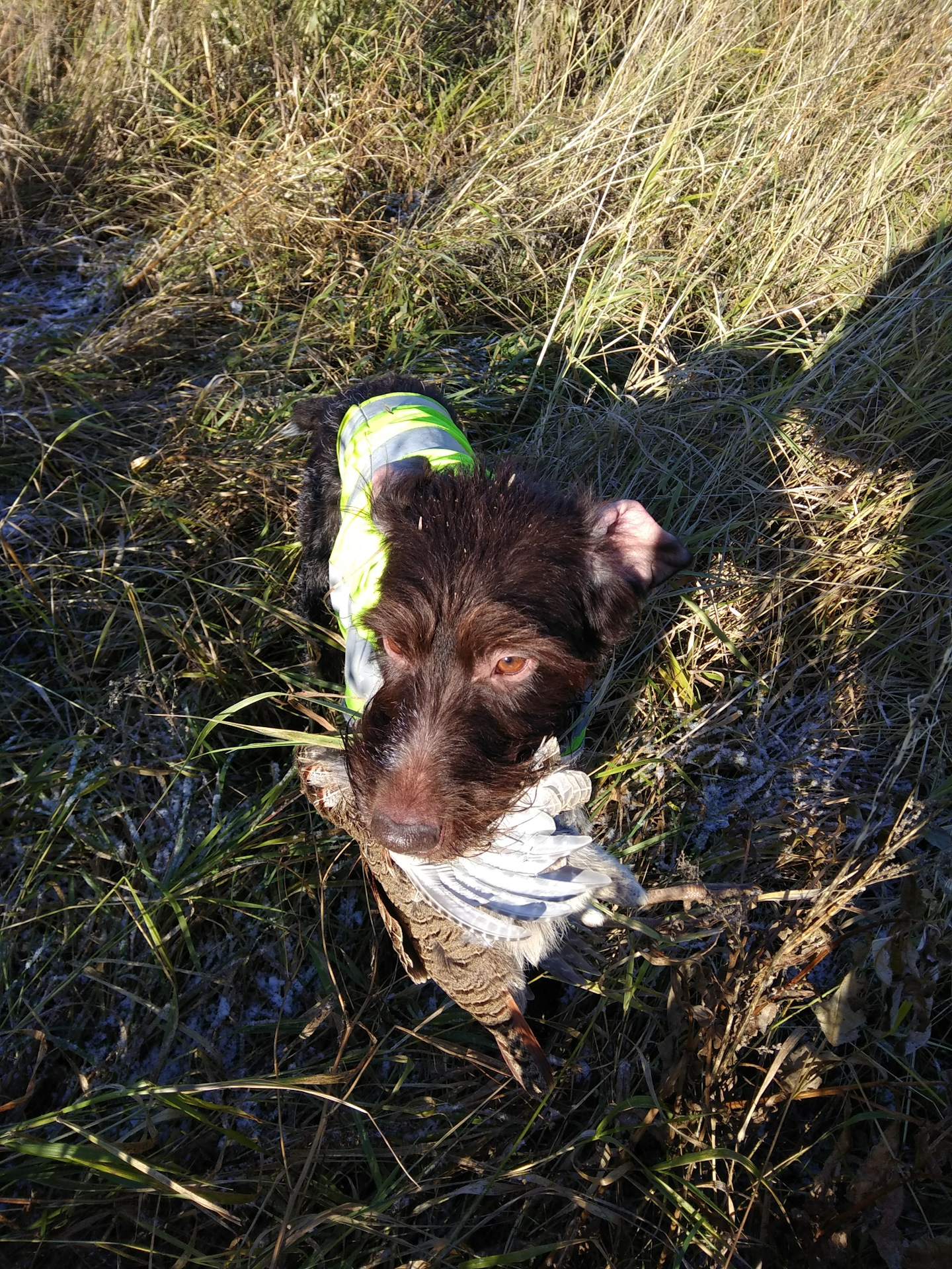 Запись, 10 ноября 2017 — DRIVE2