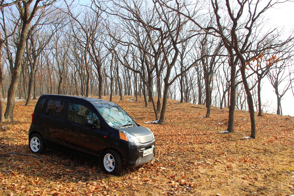 Лесная фотосессия — Honda Life (JB5/JB6/JB7/JB8), 0,7 л, 2009 года | фотография | DRIVE2