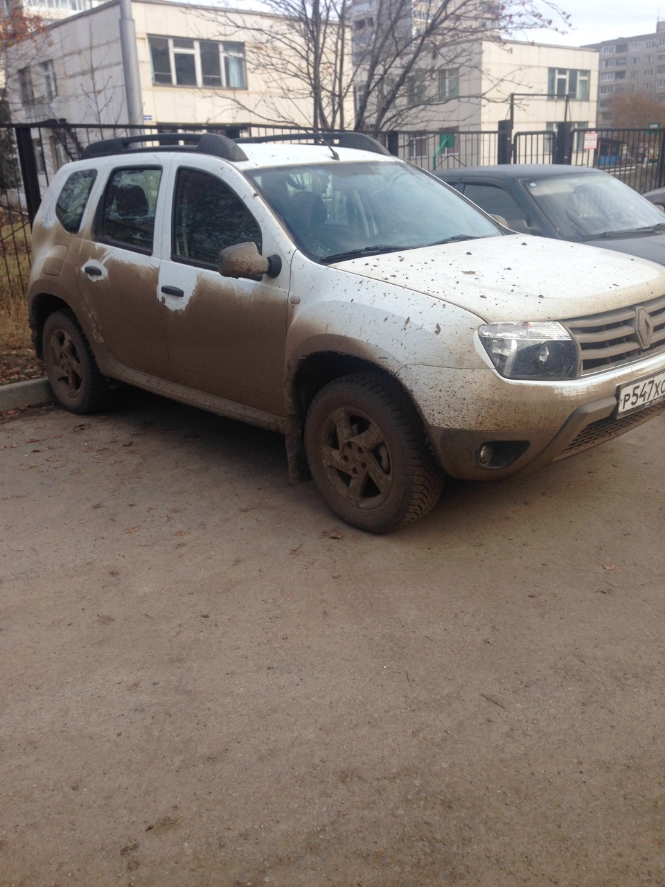 ну и свинья ты кабанчик — Renault Duster 1g 2 л 2014 года