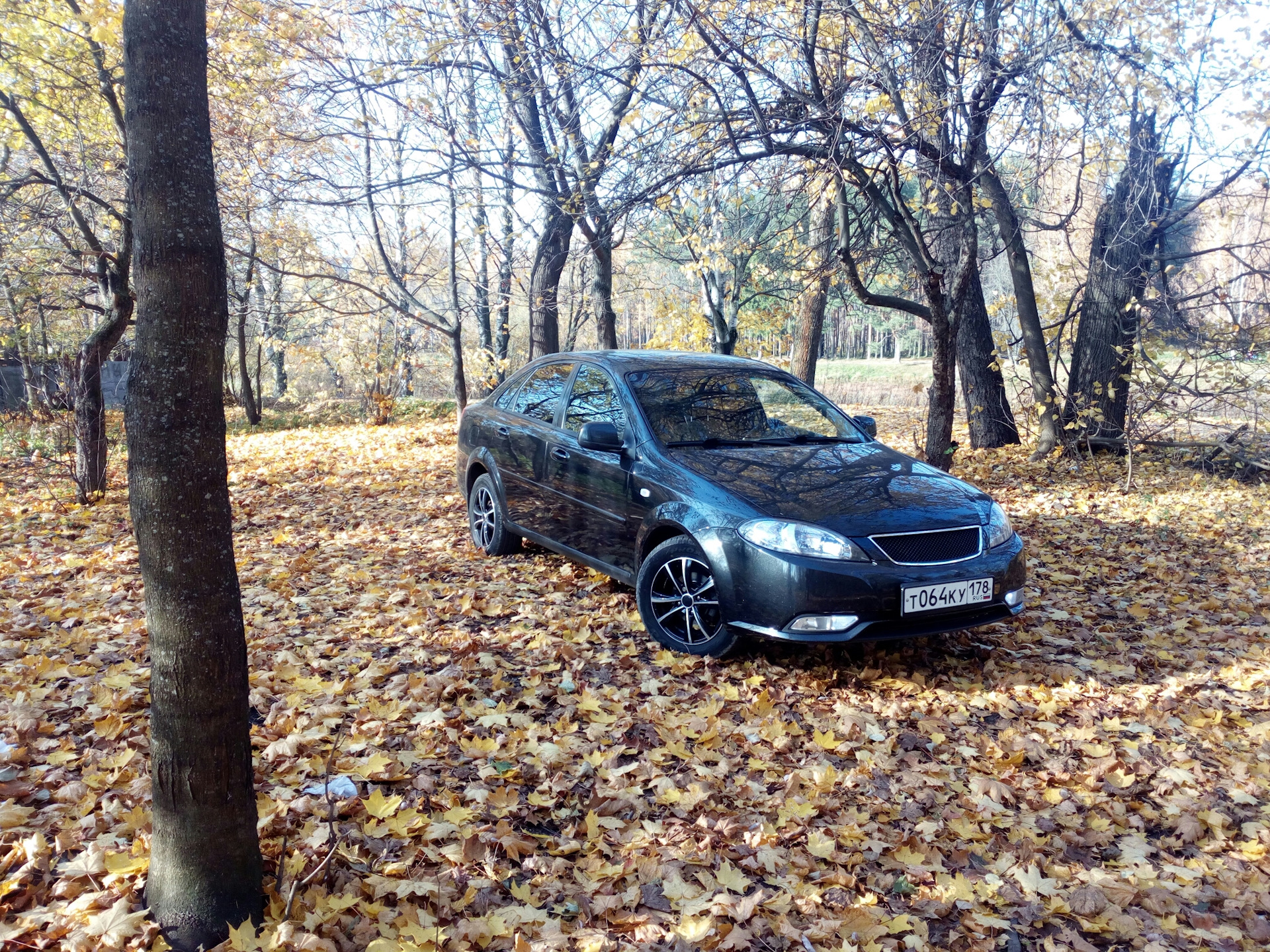 Немного осенних фото — Daewoo Gentra 1 5 л 2015 года фотография