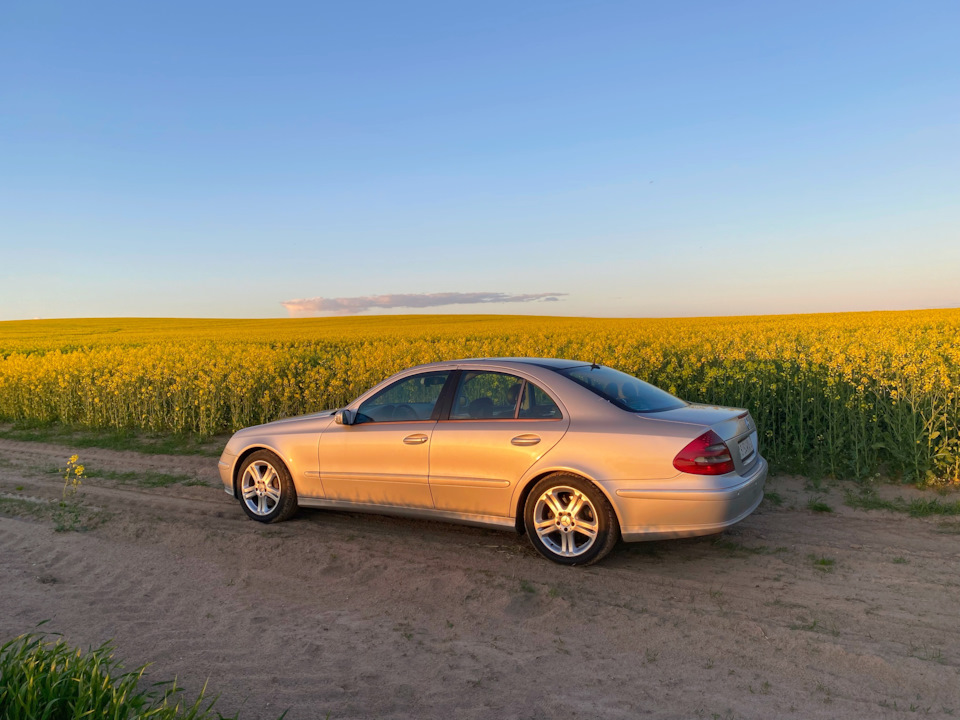 Майский фотосет🌼📸 — Mercedes-Benz E-Class (W211), 2,7 л, 2002 года | фотография | DRIVE2