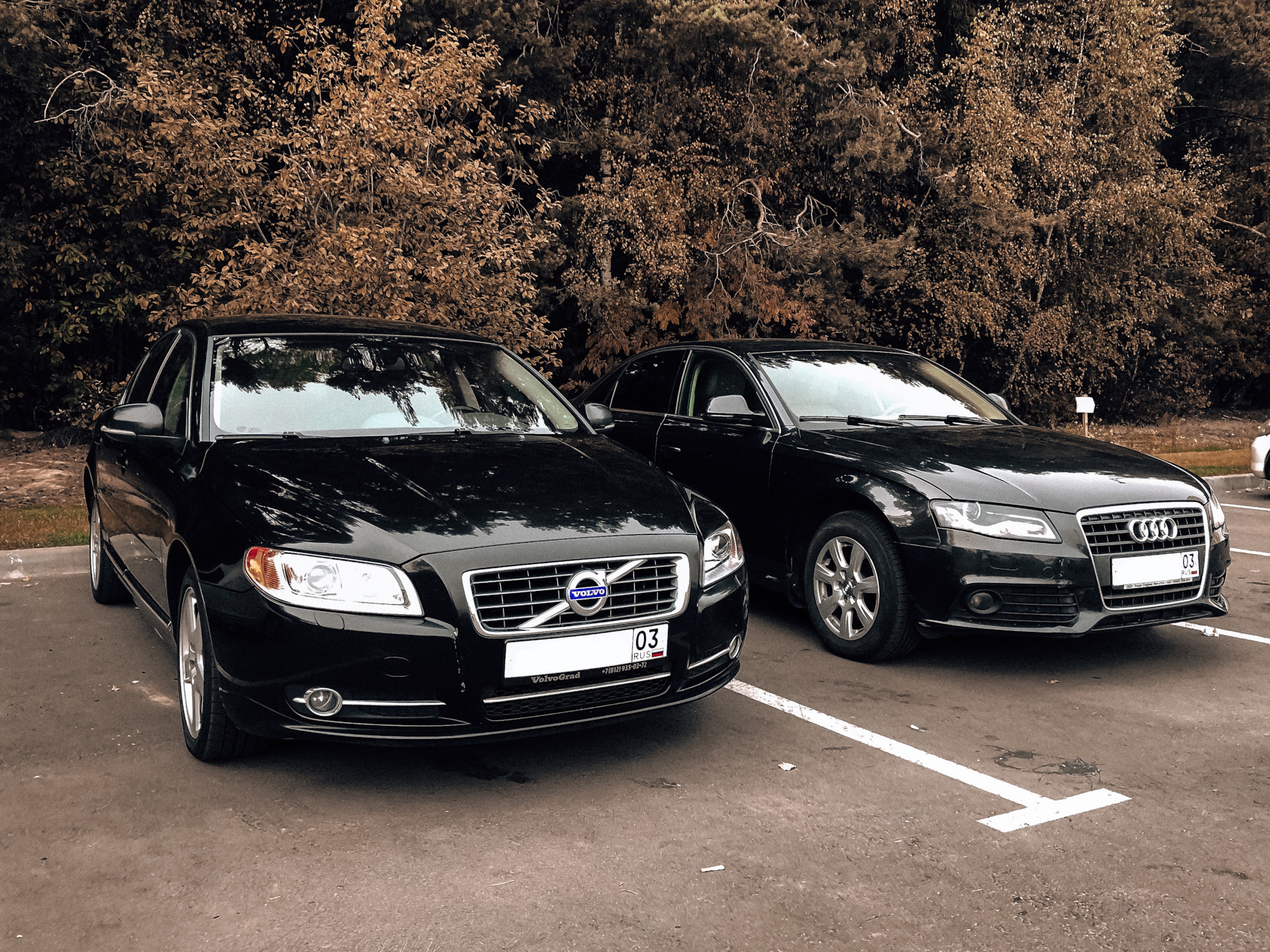 Сравнение Audi A4 и Volvo s80 — Audi A4 (B8), 1,8 л, 2009 года | другое ...