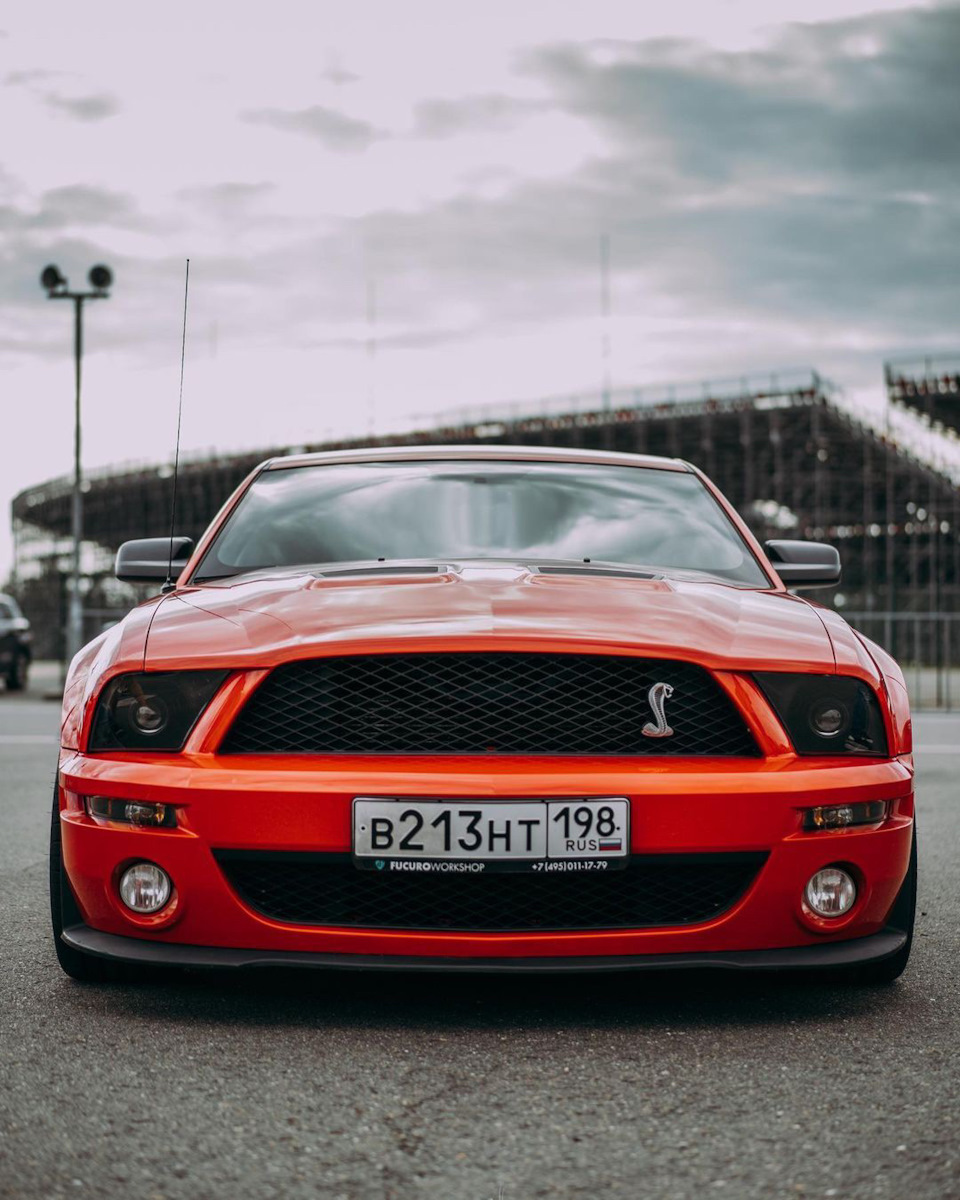 Photo’s by DaryaW — Ford Mustang (5G), 5,4 л, 2008 года | фотография ...