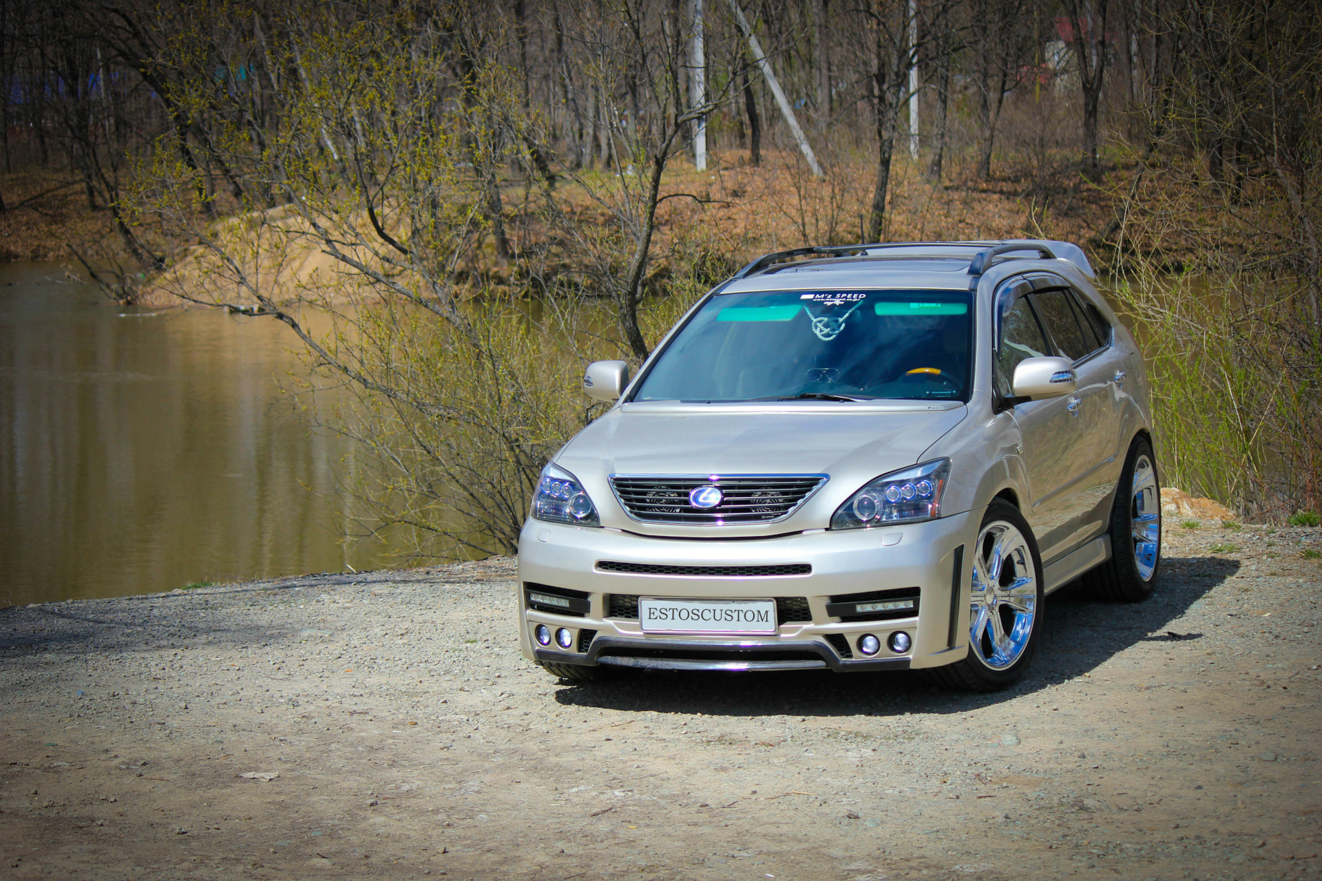 Жабры в стиле Shelby, Carbon- Lexus Rx / Harrier © — Lexus RX 400h (2G ...