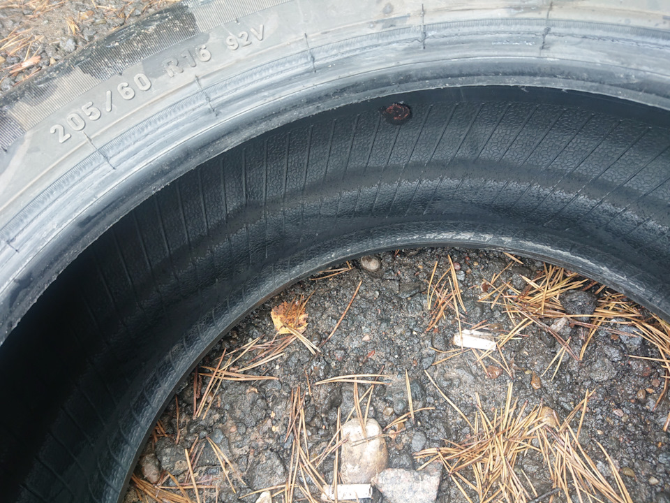 Летние шины Firestone Touring FS100 — Renault Laguna III, 1,5 л, 2010 ...