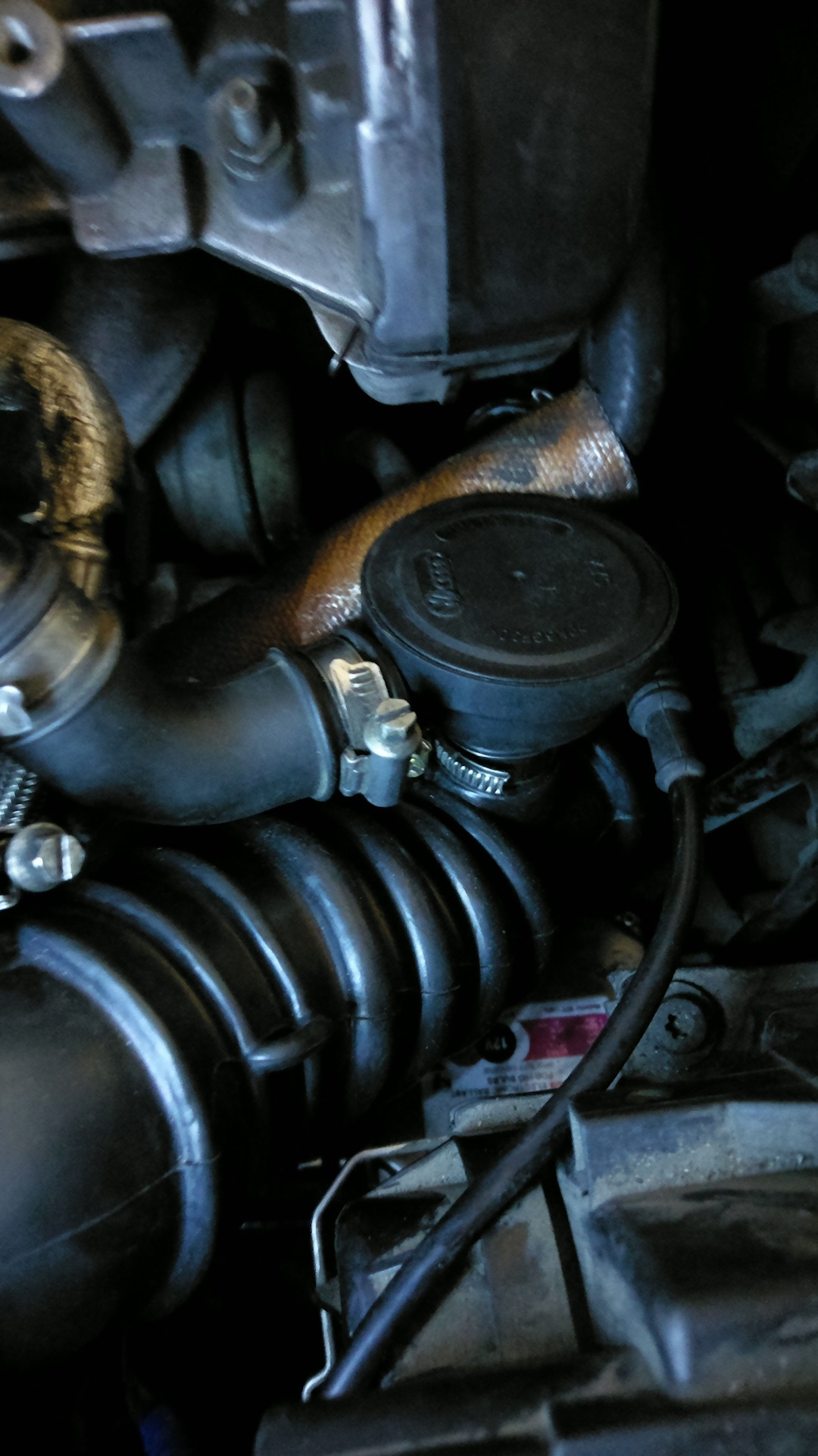 Гусеница 06B133356AH и Грибок 06A129101D — Audi A4 (B6), 1,8 л, 2002 ...