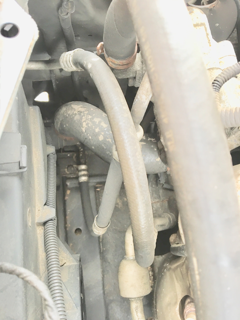 95390894 Комплект шлангов радиатора (2 шт.) GM | Запчасти на DRIVE2