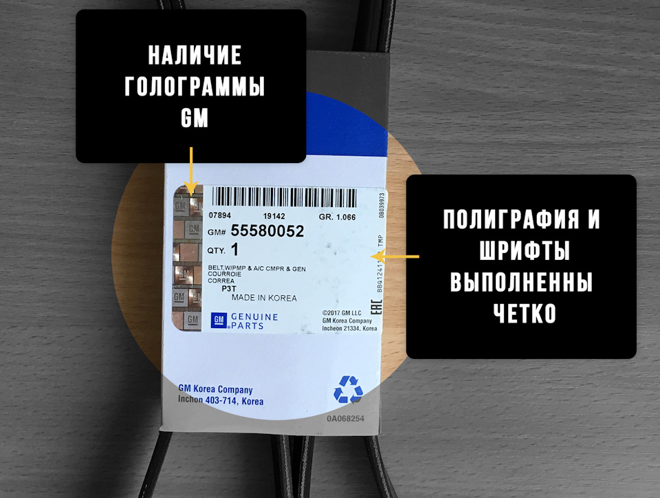 55580052 Ремень приводной Aveo T300 GM | Запчасти на DRIVE2