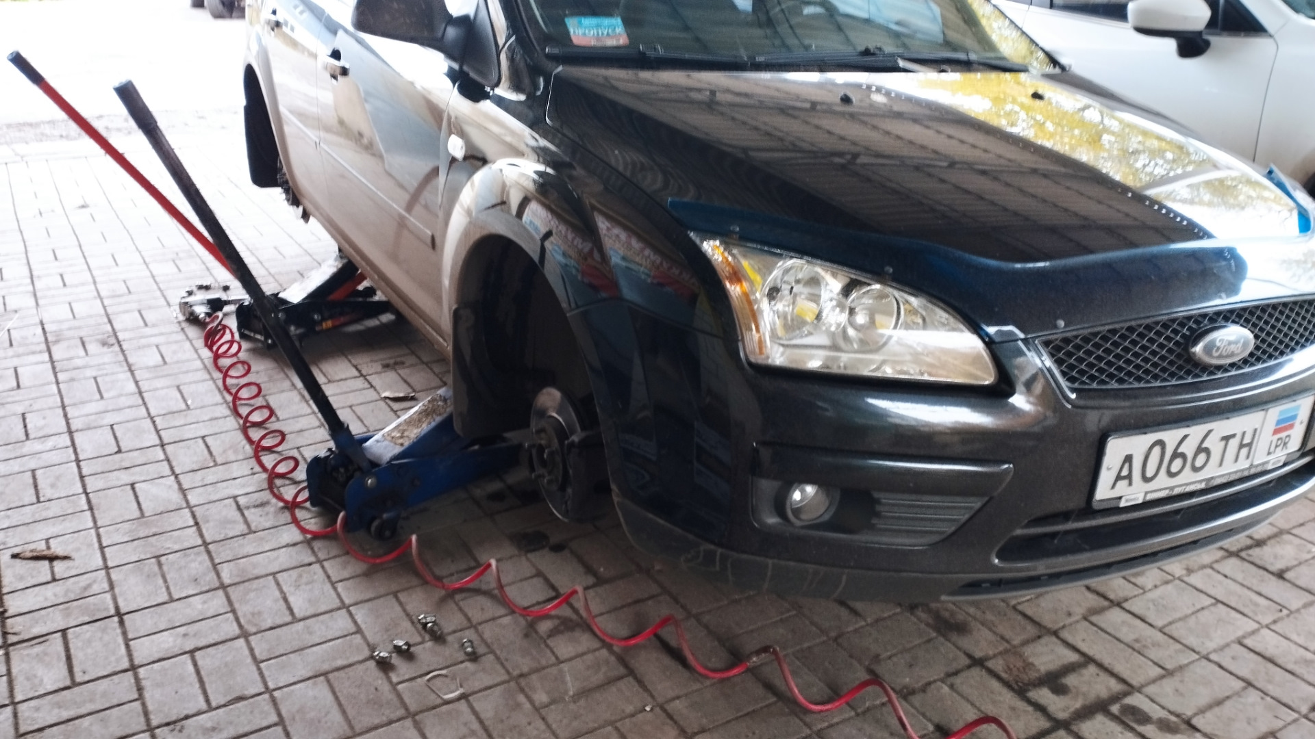 Зимняя резина Mazzini Snow Leopard 205/55 R16 — Ford Focus Wagon II, 1 ...