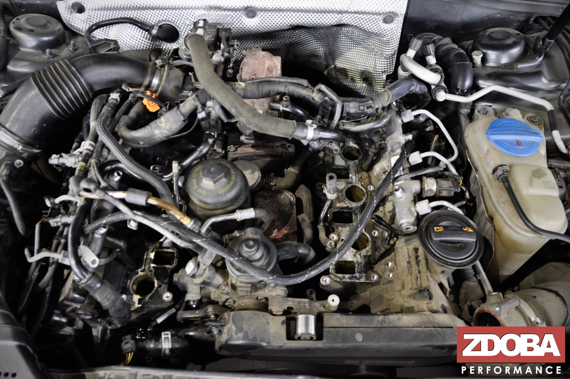 Audi A5 8T 3.0 TDI (CAPA, CCWA) Удаление EGR и вихревых заслонок + Чип ...