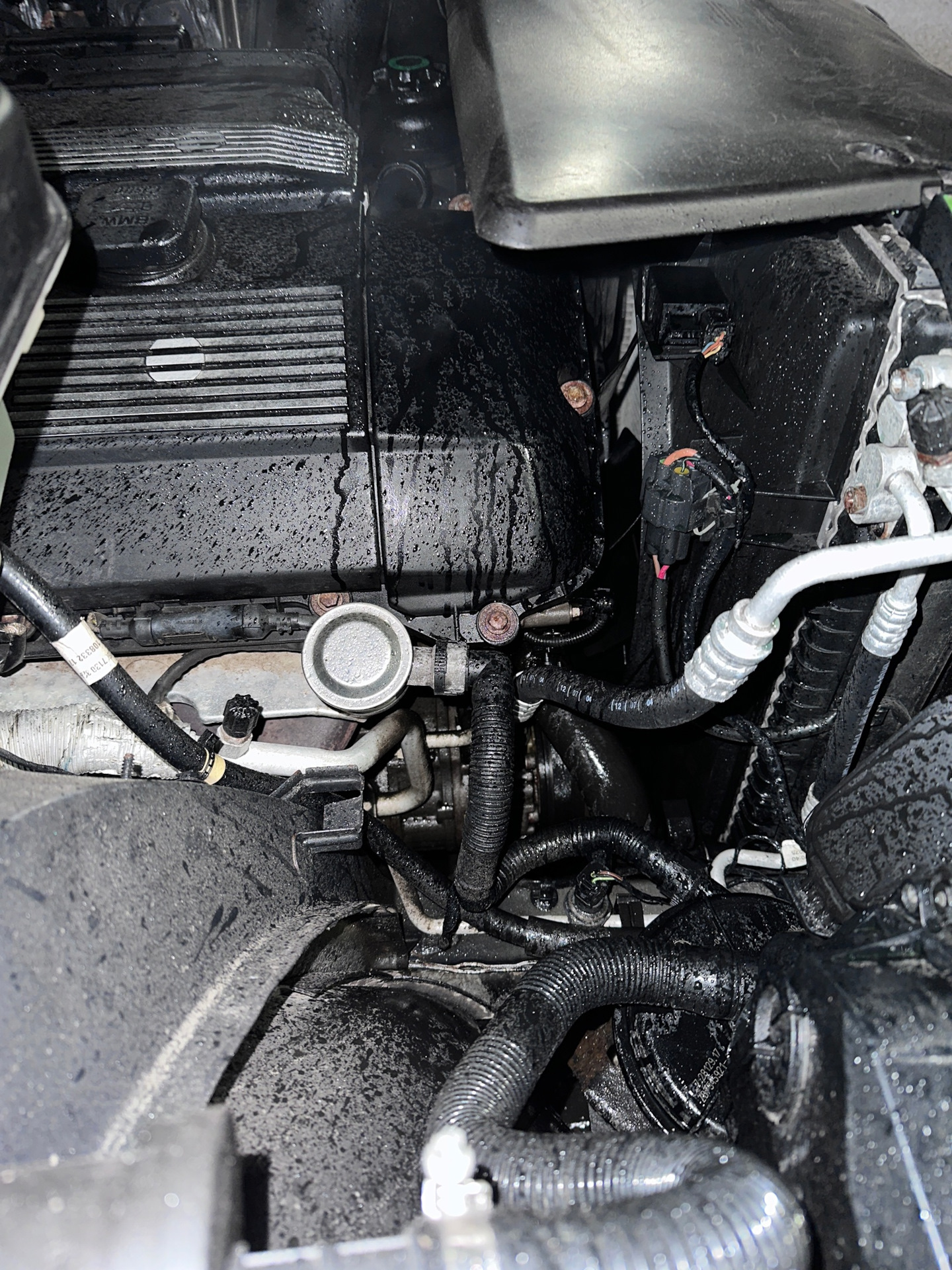 Лопнул патрубок | Минус антифриз — BMW X5 (E53), 3 л, 2005 года ...