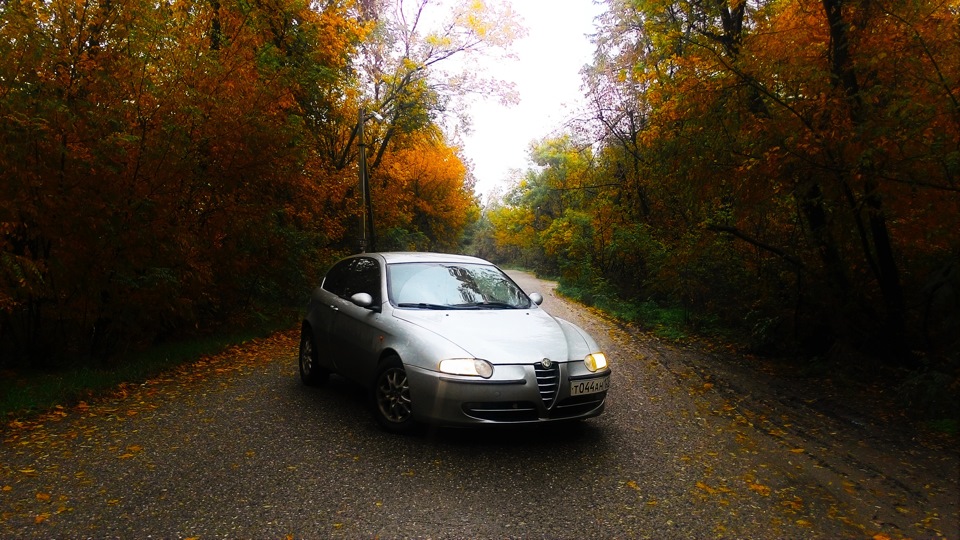 Альфаосень — Alfa Romeo 147, 2 л, 2002 года | фотография | DRIVE2