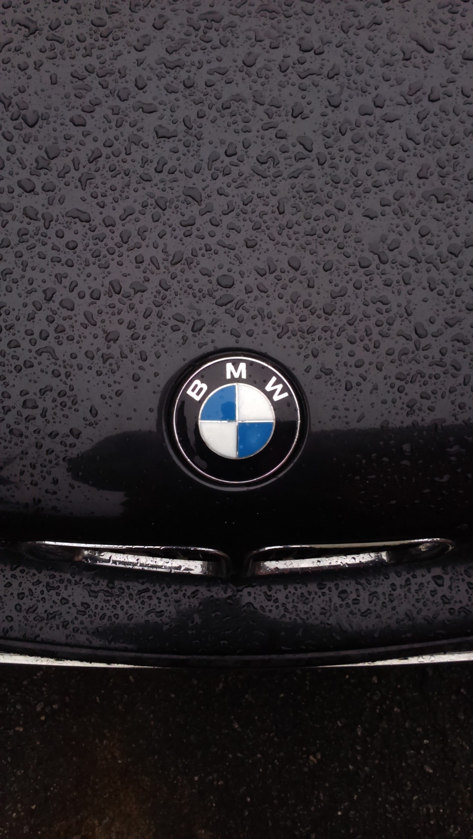 Замена значка капота — BMW 5 series (E34), 2,5 л, 1991 года | своими ...