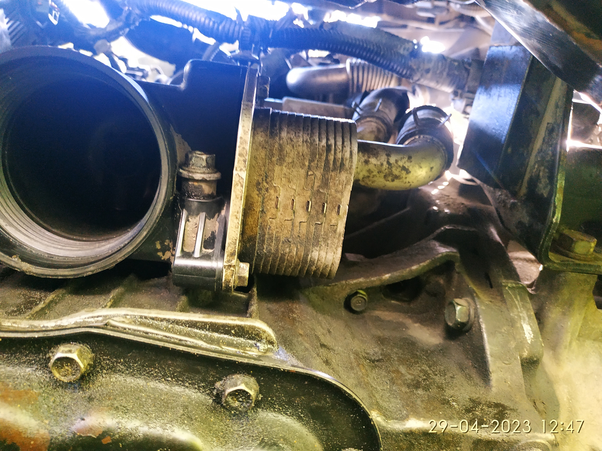 Резиновые изделия — KIA Sorento (2G), 2 л, 2011 года | расходники | DRIVE2