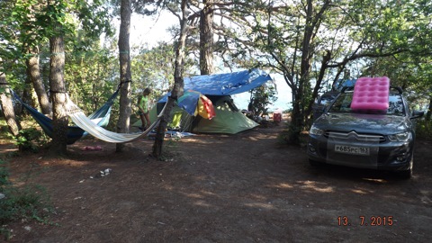 1372015 Ремень ГРМ Z142x230 / Duratec 2.5 Ford | Запчасти на DRIVE2