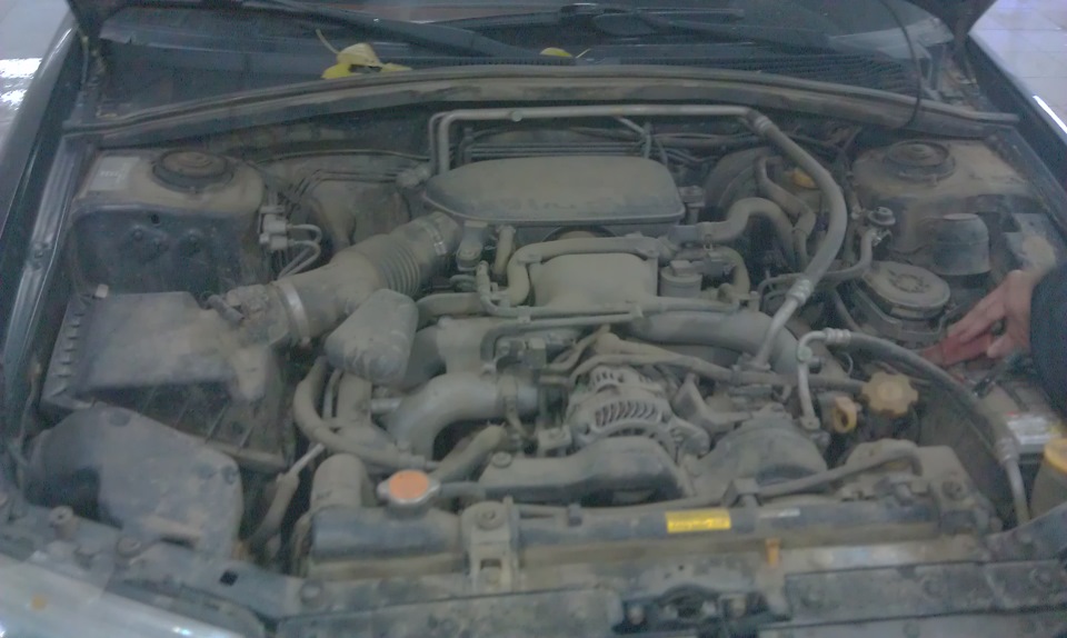 Пришла пора уборки подкапотного пространства. — Subaru Forester (SG), 2 ...