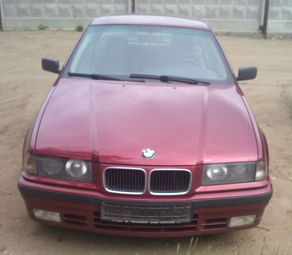 Какой мы ее взяли… — BMW 3 series (E36), 1,6 л, 1992 года | фотография | DRIVE2