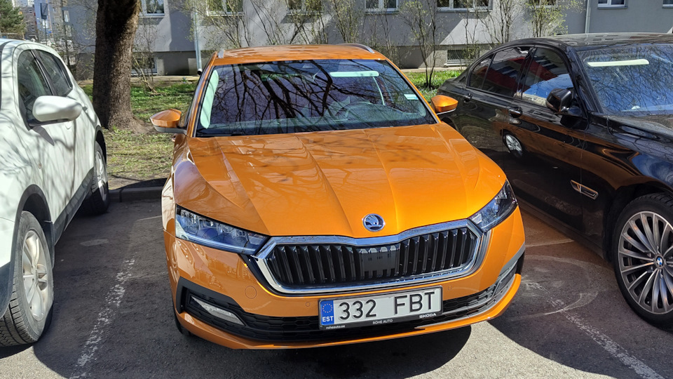 Skoda Octavia Combi A8 Mk4 2.0 дизельный 2024 | на DRIVE2