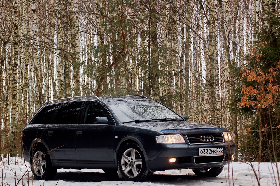 весенний лес — Audi A6 Avant (C5), 1,8 л, 2003 года | фотография | DRIVE2