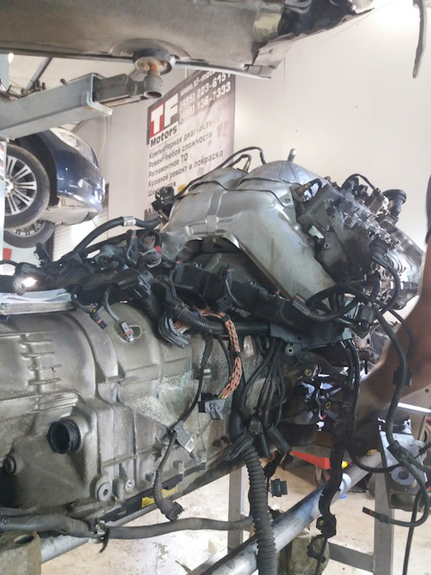 TF-Motors: отзывы, цены, фото