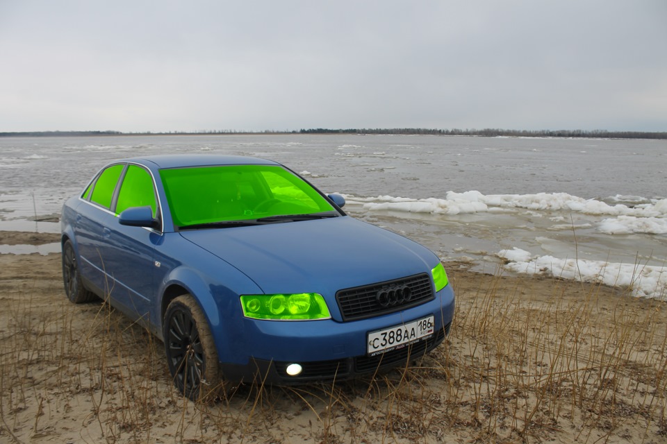 Жёлтая тонировка! — Сообщество «DRIVE2 Audi Club» на DRIVE2