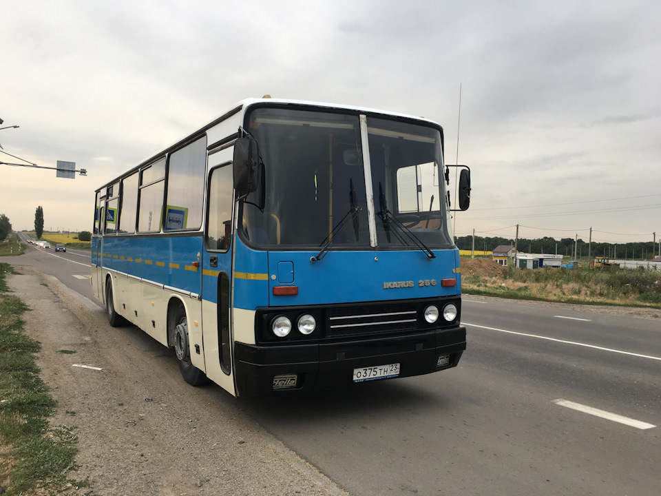 После покраски — Ikarus 256-21H, 9,9 л, 2000 года | кузовной ремонт ...