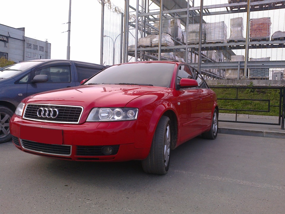 Тонировка в круг — Audi A4 (B6), 1,8 л, 2004 года | аксессуары | DRIVE2
