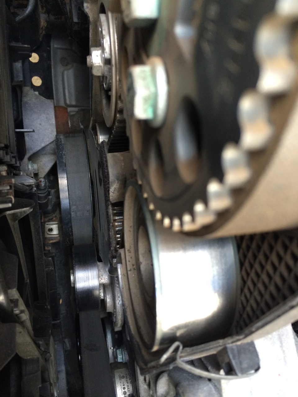 Замена ГРМ и сальника коленвала! — Audi A4 Avant (B7), 2 л, 2005 года ...