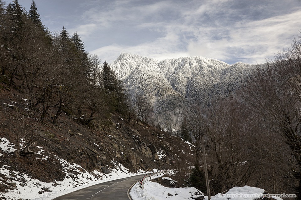 По дороге в Сванетию. Грузия. — Nissan Safari (Y61), 4,2 л, 1997 года ...