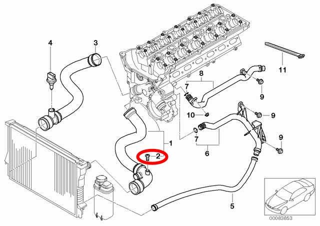 Винт удаления воздуха из системы охлаждения двигателя — BMW 3 series ...
