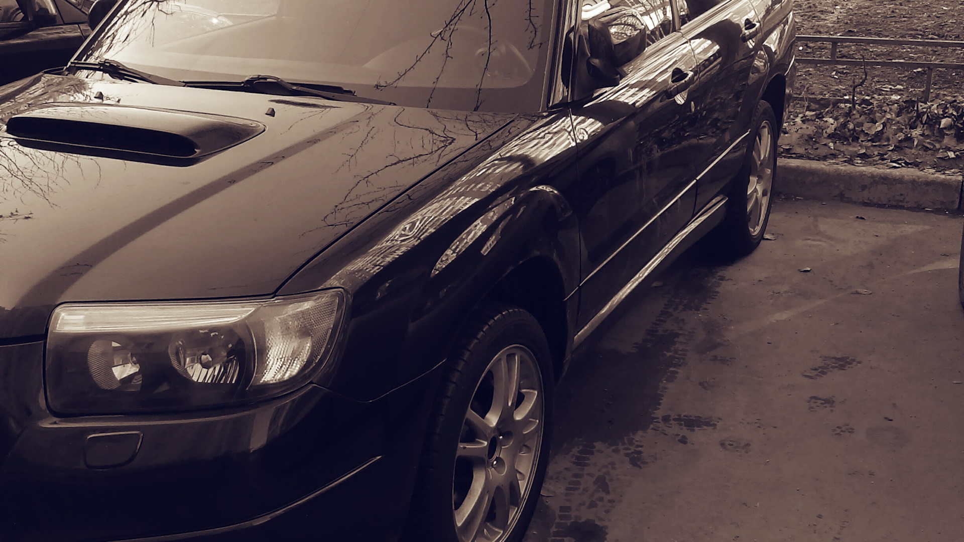 Subaru Forester (SG) 2.5 бензиновый 2007 | Гонка на DRIVE2