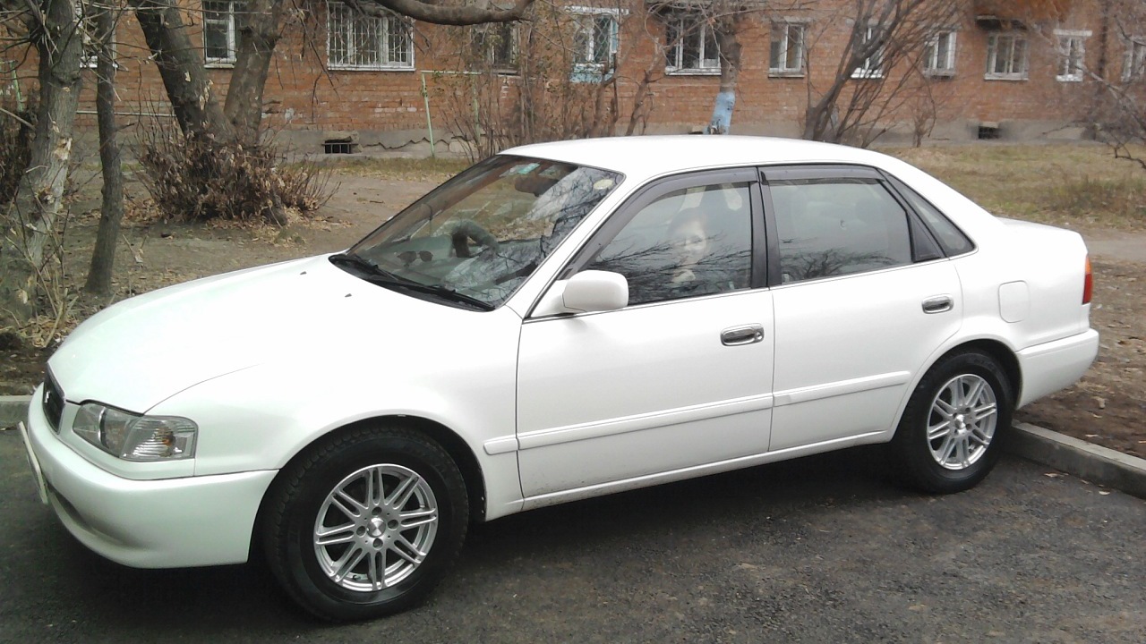 Toyota Sprinter (110) 1.3 бензиновый 1999 | на DRIVE2