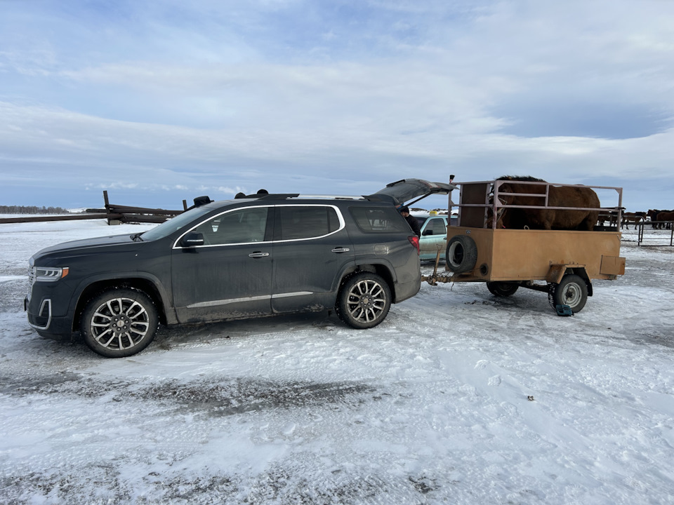 Запись 6. Тягач — GMC Acadia (2G), 3,6 л, 2022 года | просто так | DRIVE2