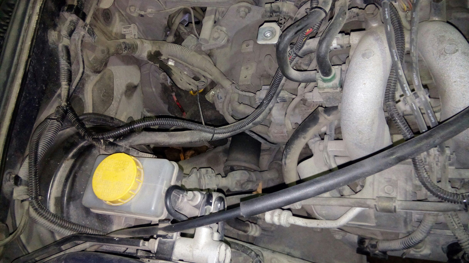 Дошли таки руки до ГРМ — Subaru Impreza (GD/GG), 1,5 л, 2001 года ...