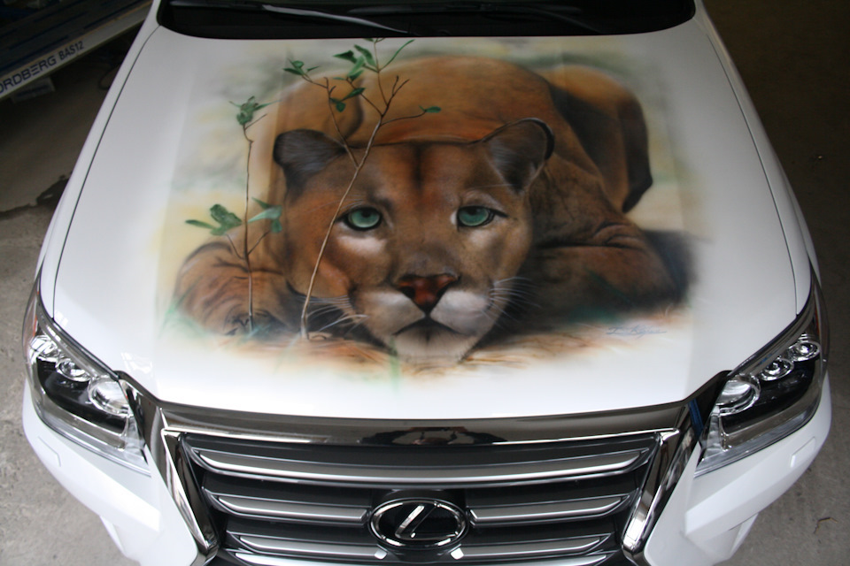 Pit-Stop Color: отзывы, цены, фото