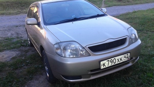 Toyota Corolla Runx бензиновый 2001 на Drive2