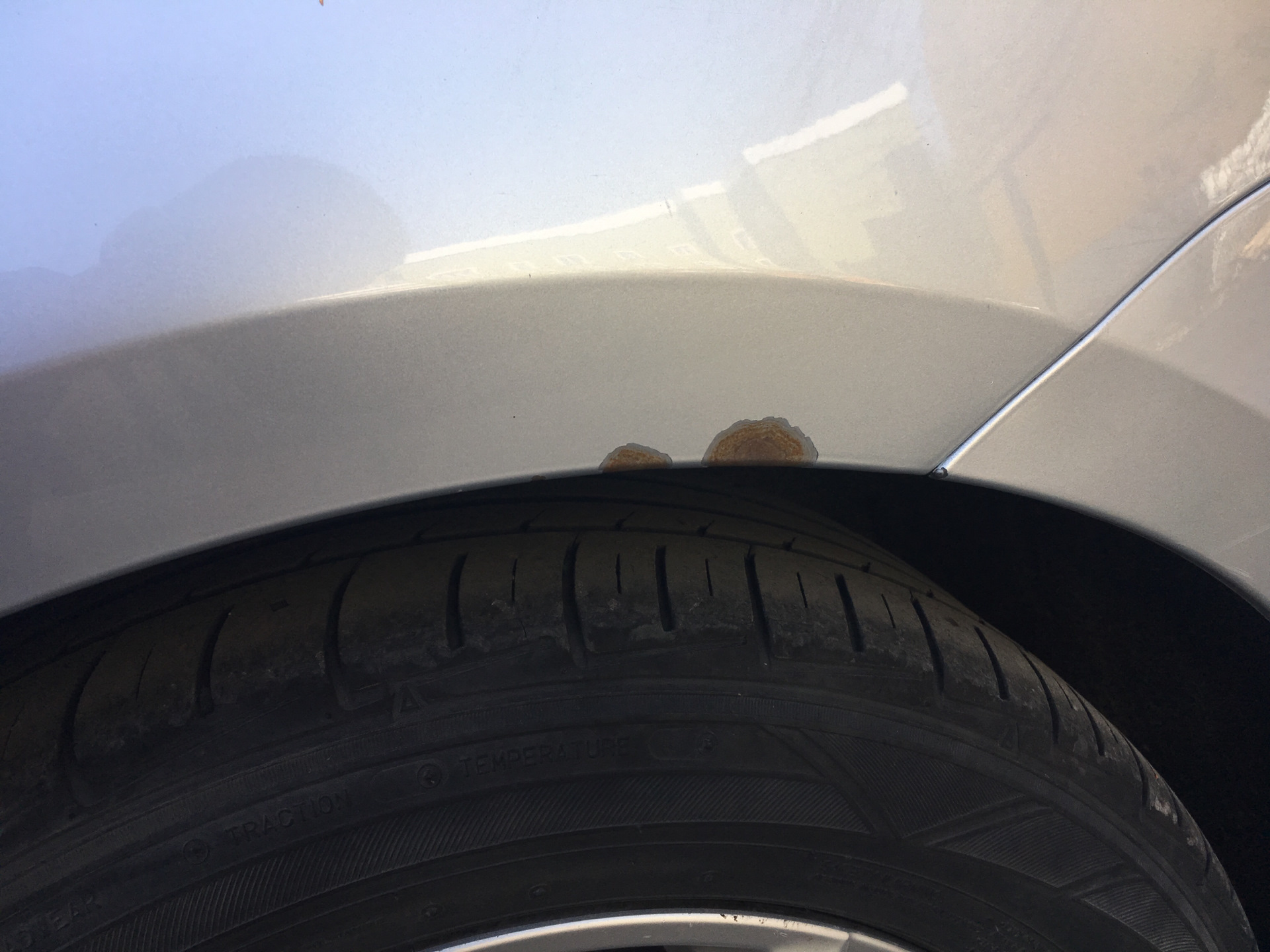 Сколы, вечная проблема с нашими дорогами — Volkswagen Passat B7, 1,8 л ...