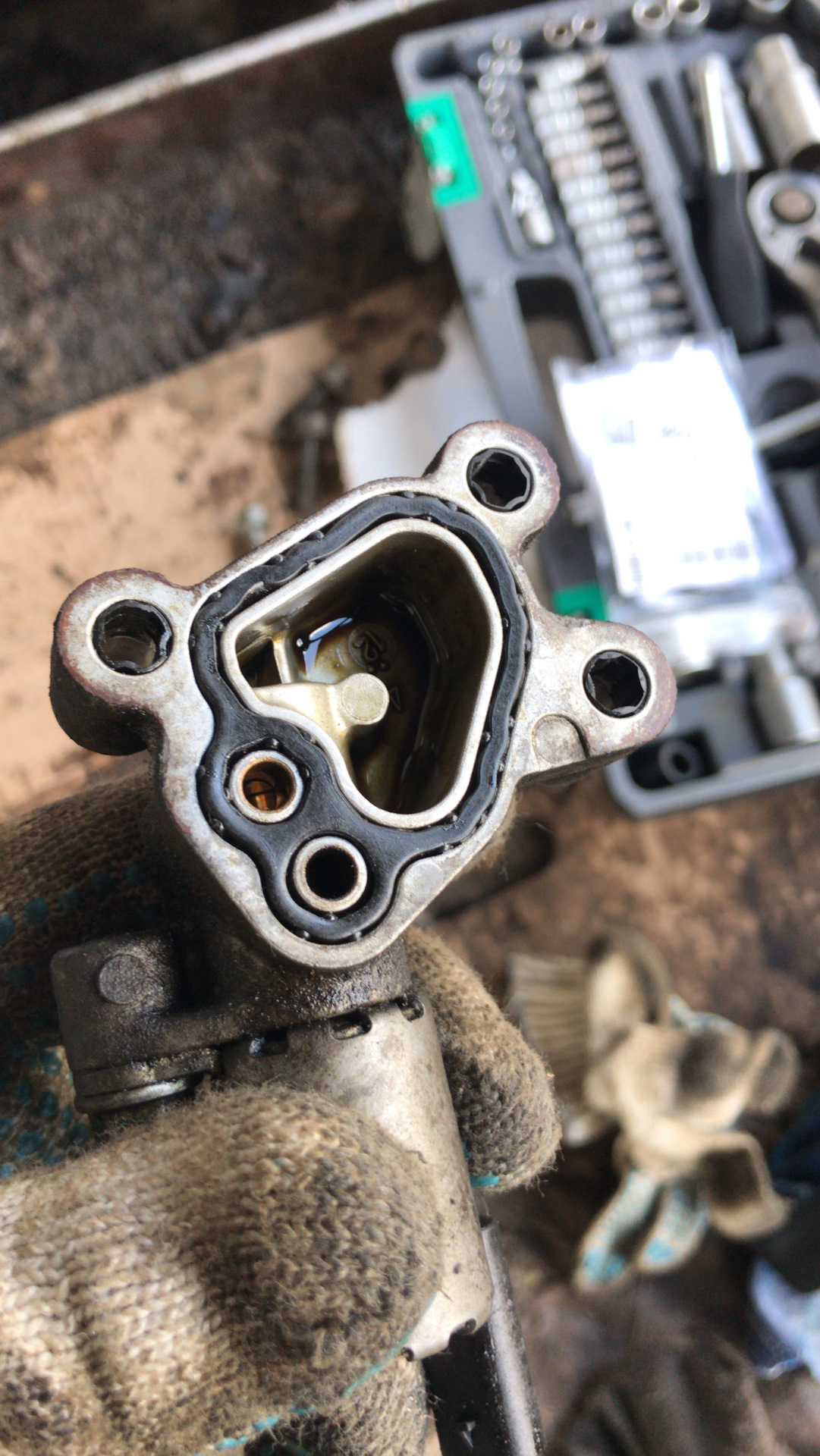 Течёт масло — Opel Insignia (1G), 1,6 л, 2014 года | поломка | DRIVE2