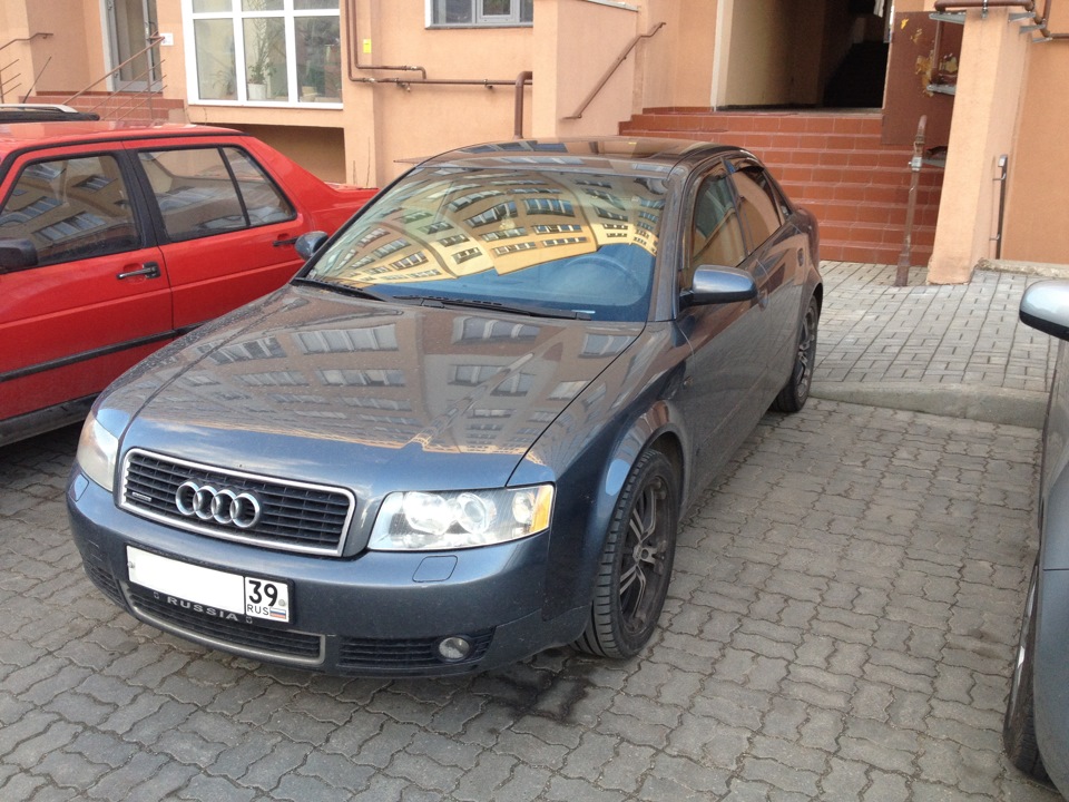 Через Тернии к… Audi A4 Quattro) Или как я докатился до нее) — Audi A4 ...