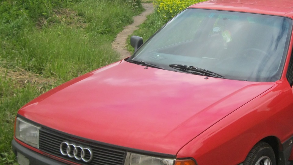 Audi 80 (B3) 1.8 бензиновый 1988 | Rot-Fass на DRIVE2
