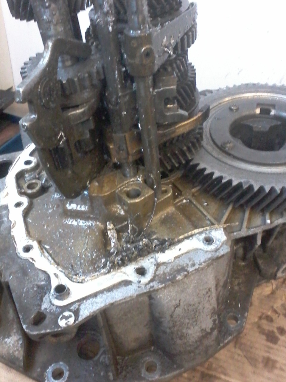 Вскрытие показало…Слабонервным не смотреть — Renault Laguna II, 2 л ...